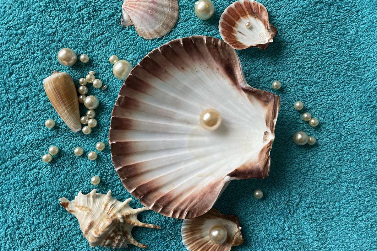 shell with pearls